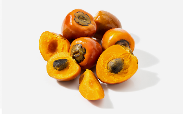 Variety Pack – PEJI BAR